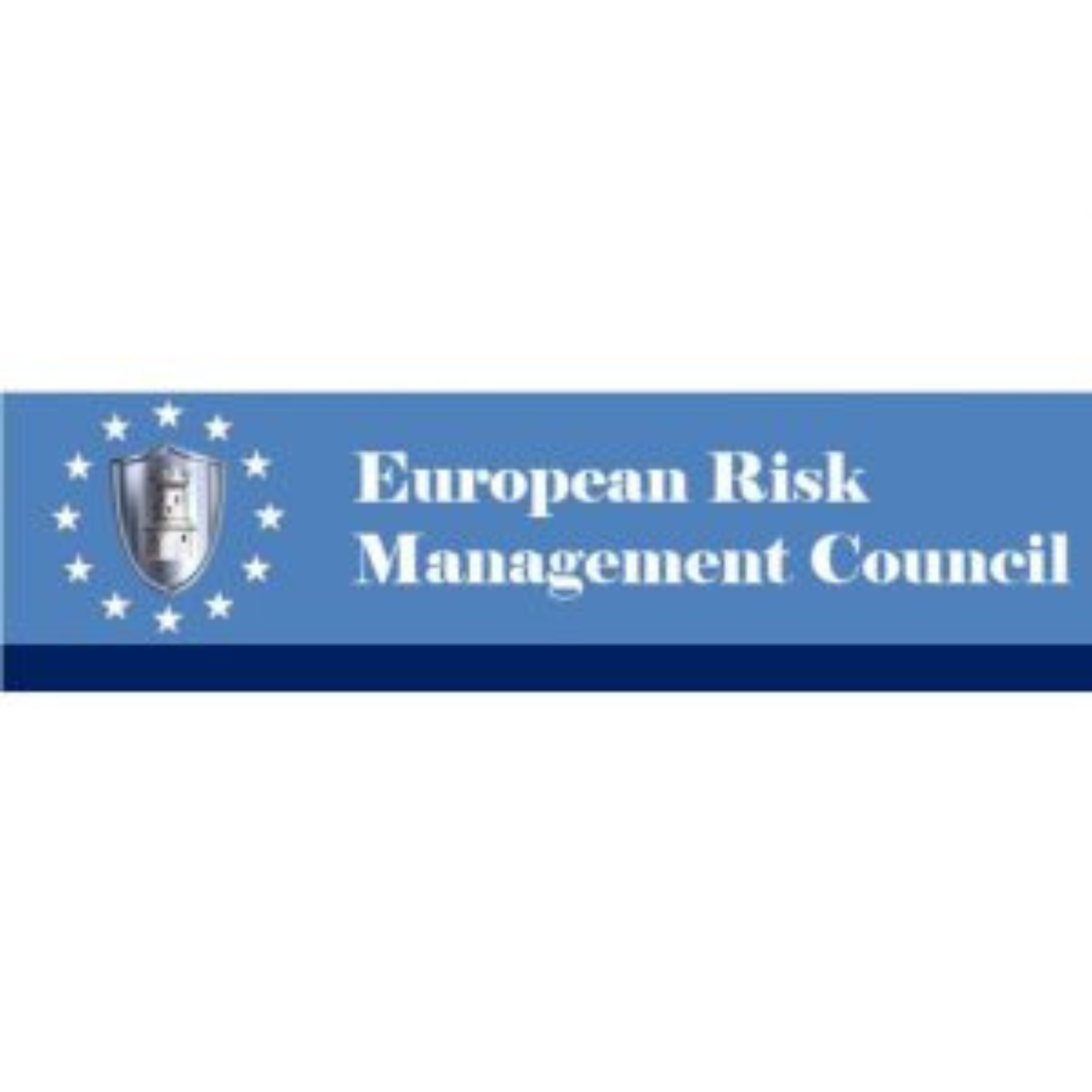 Moving from regulation-based risk management to strategic, single-view ...